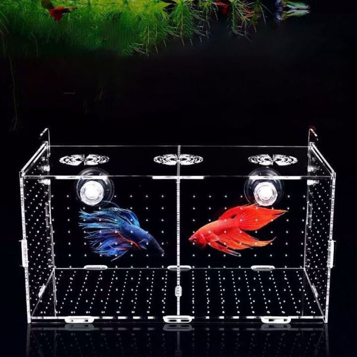 BENEDICT Single Grid Acrylic Fish Tank Incubator Fish Isolation ...