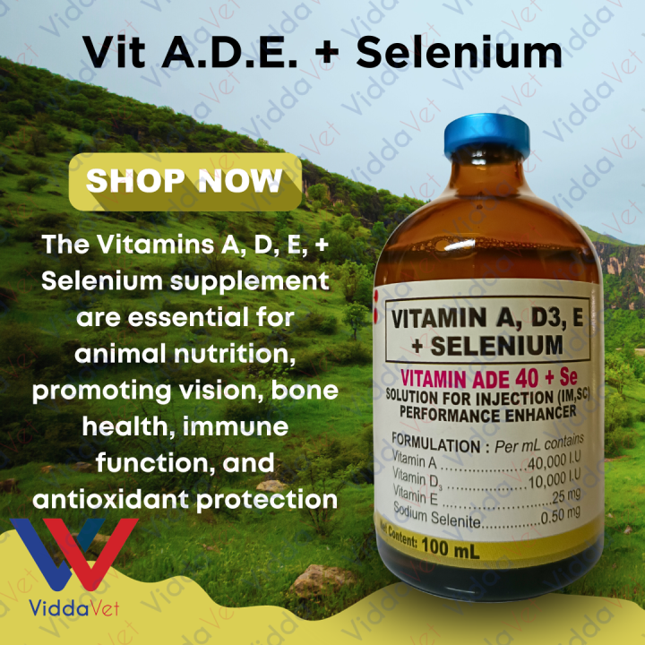 Vitamin ADE + Selenium 100ml 1bot for animals pets dog cat pig goat ...