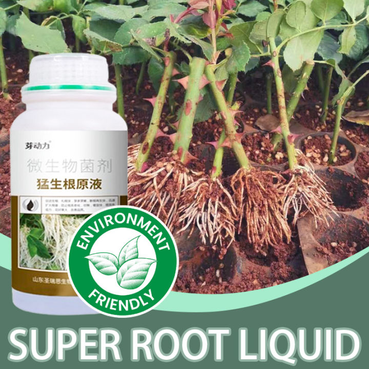 rooting hormone liquid 1000 G from Japan | Lazada PH