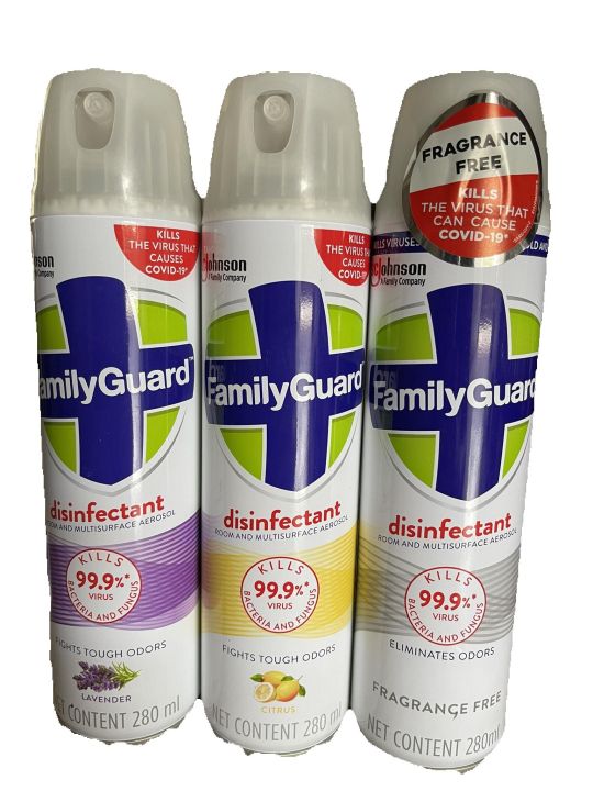 Family Guard Disinfectant 280ml. | Lazada PH