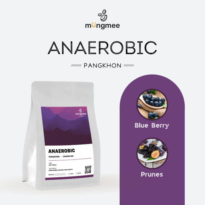 Mungmee coffee เมล็ดกาแฟคั่วอ่อน ปางขอน Anaerobic Process | Lazada.co.th