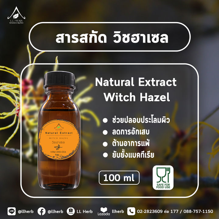 สารสกัดวิซฮาเซล Witch Hazel extract ขนาด 100ml. | Lazada.co.th
