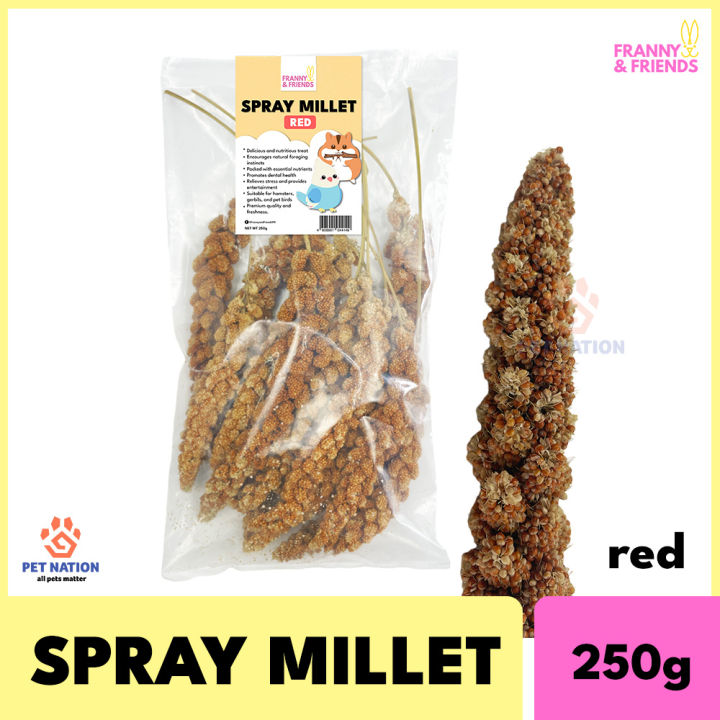 Franny's Red Spray Millet Yellow Spray Millet 50g/250g Hamster Spray ...