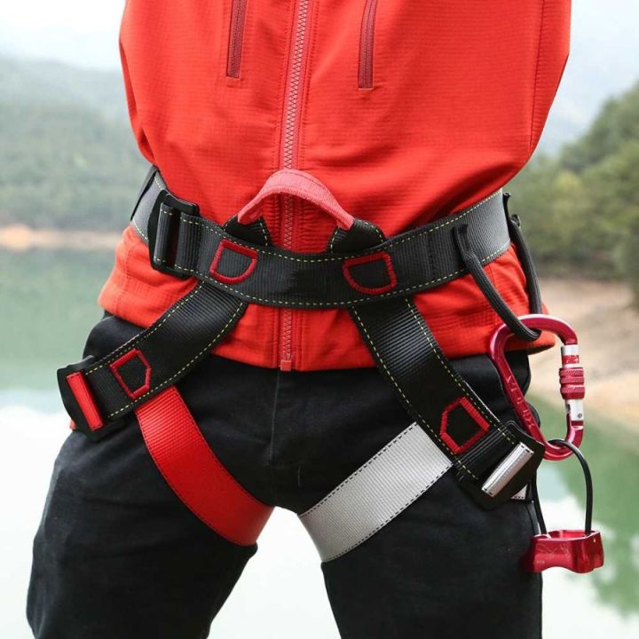 Safety Belt Body Half Harness | Lazada Indonesia