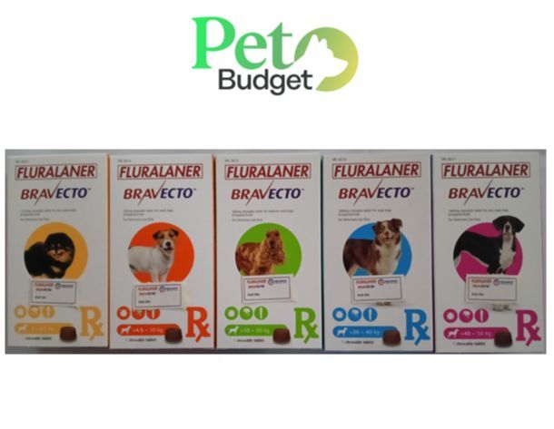 Bravecto Anti Tick and Flea for Dogs with sticker | Lazada PH