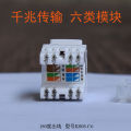 Ruiliang communication six modules RJ45 Gigabit computer network 180-degree Gigabit CAT6 ...