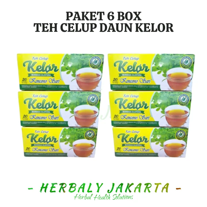 Paket 6 Box Teh celup daun kelor Moringa tea herbal Asli Original 100% ...