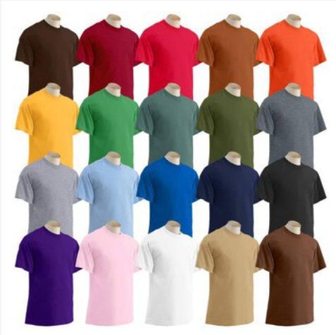 SOFTEX R-neck plain shirt white and light colors (for junior) | Lazada PH