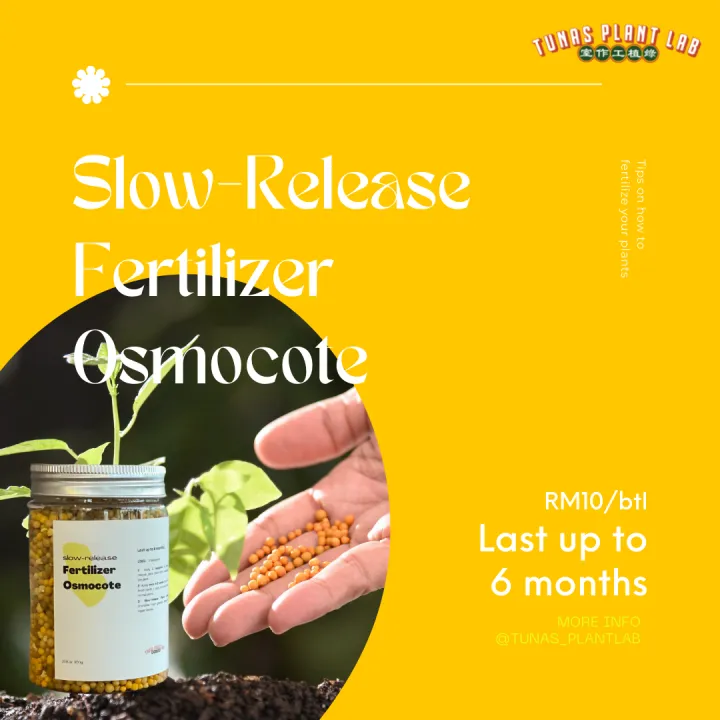 TPL - Tunas Plant Lab - Slow Release Fertilizer Osmocote 300g - Plant ...