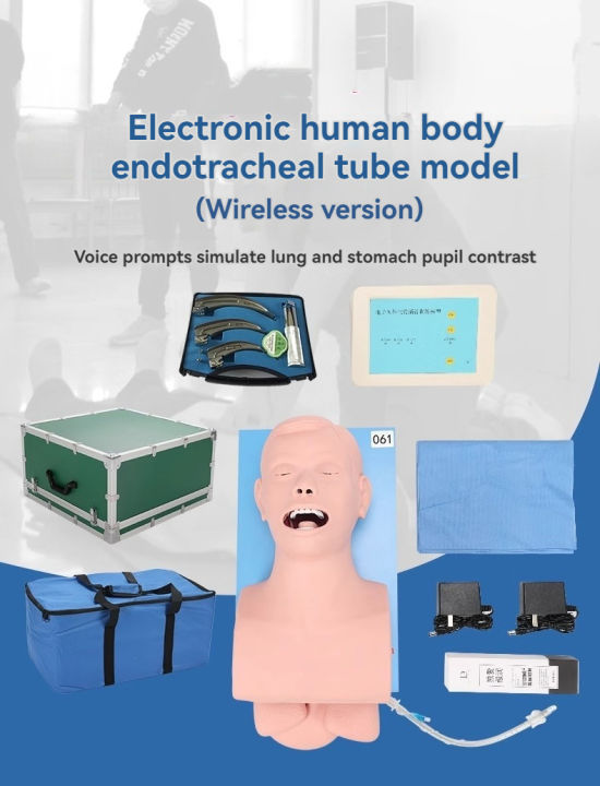 Electronic human tracheal intubation model, nasopharyngeal ...