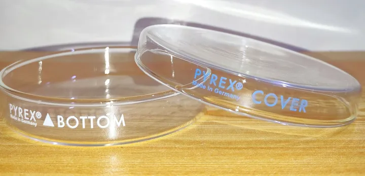 Original PYREX Petri Dish Glass Made in Germany | Lazada PH