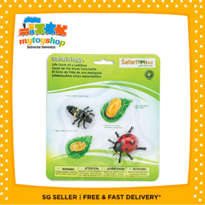 Safari Ltd Life Cycle of A Lady Bug | Lazada Singapore