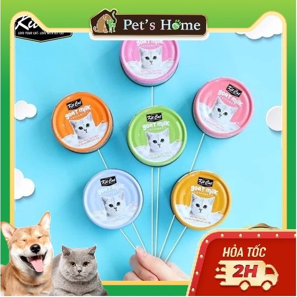 Pate Kit Cat sữa dê cho mèo 70g | Lazada.vn