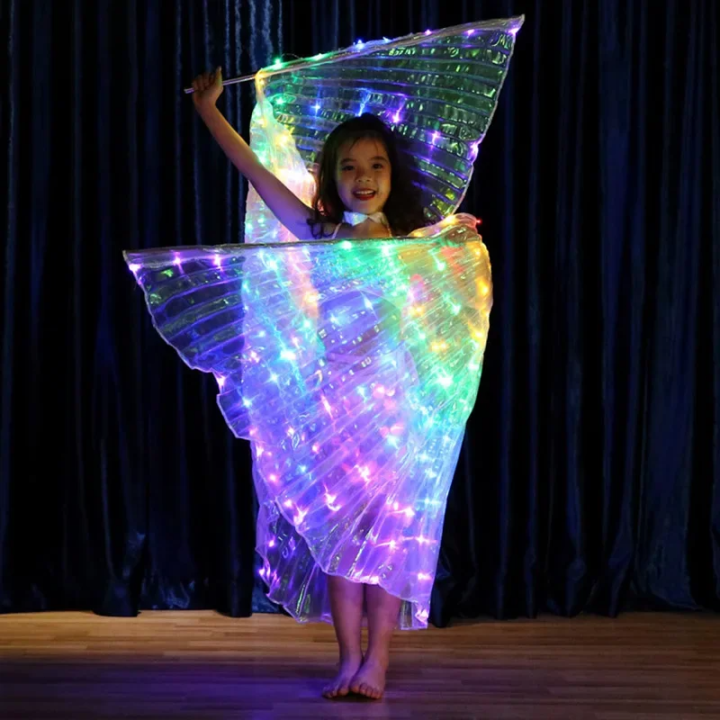 LED Butterfly Light Up Wings Five Color Belly Dance Wings Led Wings ...