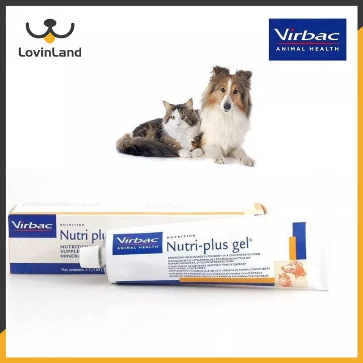 120.5g Virbac Nutri-Plus Energy Gel for Recovery in Dogs and Cats ...