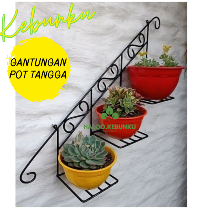 KEBUNKU Gantungan Pot dinding model tangga | Lazada Indonesia