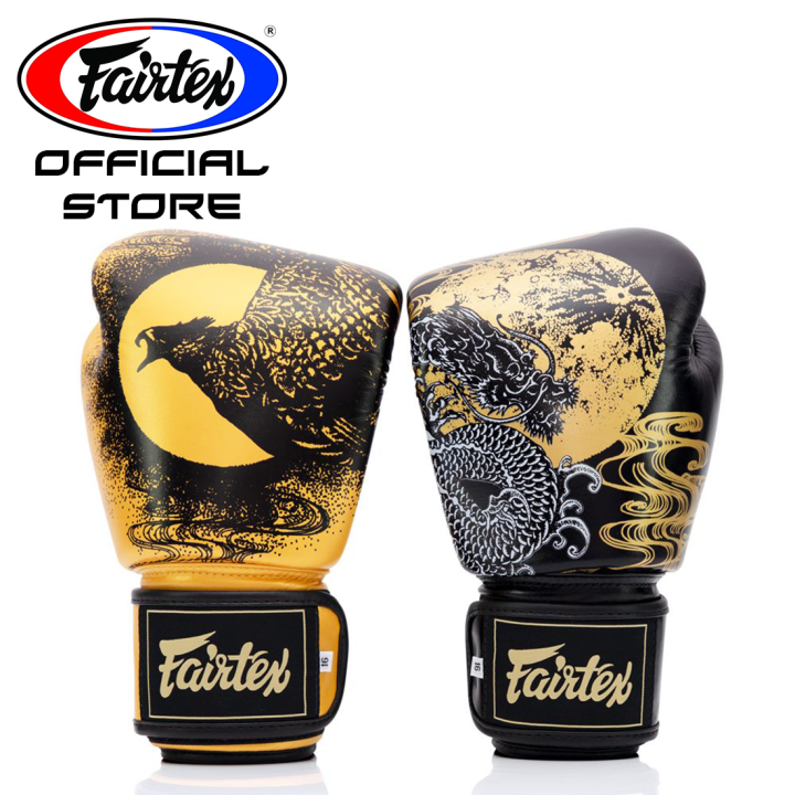 Fairtex BGV26 "Harmony Six" Boxing Gloves | Lazada Singapore
