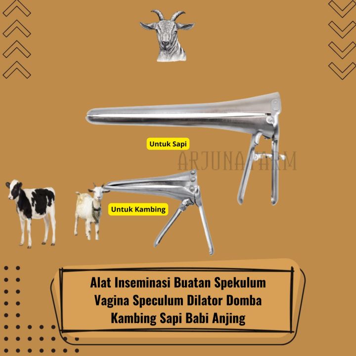 Spekulum Dilator Vagina Alat Inseminasi Buatan Sapi Domba Kambing Babi Hewan Ternak | Lazada ...