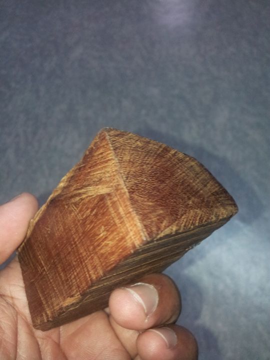 teras / serbuk gemunggal Kayu Kelor Moringa Oleifera stick wood ...