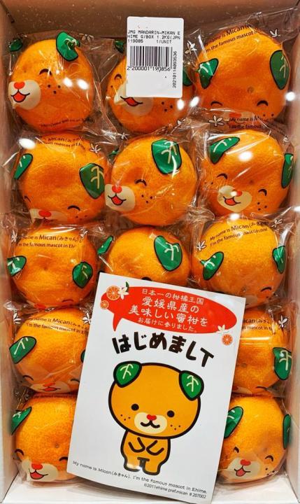 Japan Ehime Mican Mikan (Mandarin Orange) Gift Box (1.2Kg) - DELIVERY KLANG VALLEY ONLY | Lazada