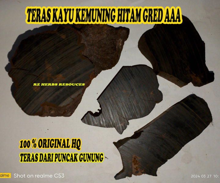 TERAS KEMUNING HITAM ORIGINAL GRED AAA | Lazada