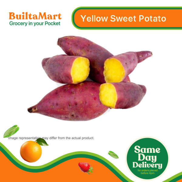 Japanese Yellow Sweet Potato (400-500g) | Lazada PH