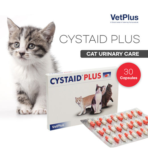 Vetplus Cystaid Plus 1 BOX (30 Capsules) Urinary Care | Lazada Singapore