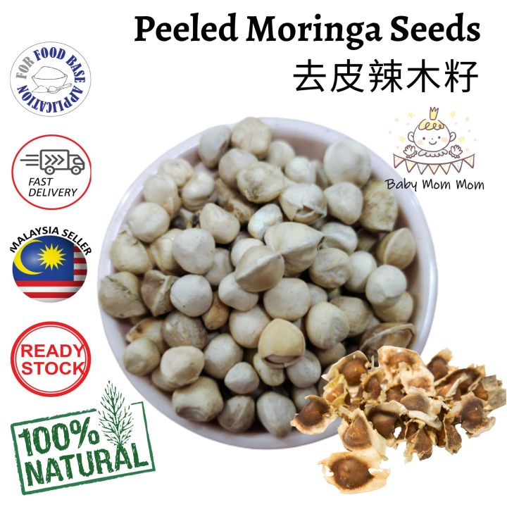 Moringa Seeds | Peeled Moringa Seeds | Moringa Seed/Buah Kelor/Biji ...