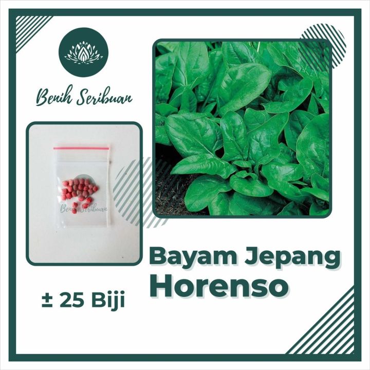 BENIH SERIBUAN - 25 Biji Benih Bayam Jepang F1 Hibrida Horenzo Bibit ... BENIH SERIBUAN - 25 Biji Benih Bayam Jepang F1 Hibrida Horenzo Bibit ...