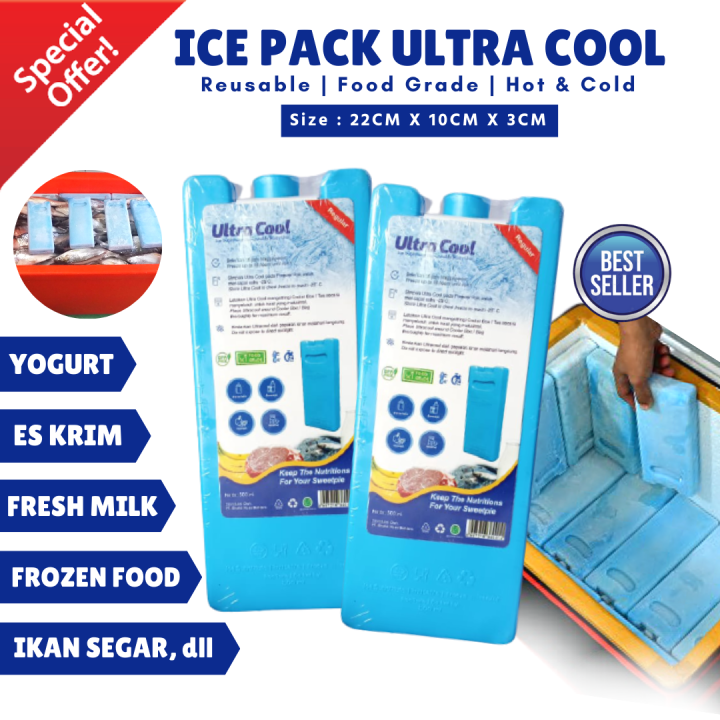 Ice Gel Pack Cooler Box Ukuran 22x10x3cm Espack Pendingin Eskrim Ultra ...