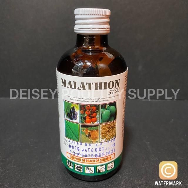 Malathion 57EC (100ml) | Lazada PH