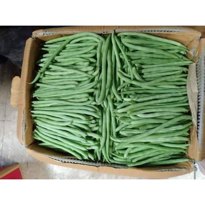 สดใหม่!!! ทุกวัน #ถั่วแขกสดใหม่ขายถูก 500 กรัม เก็บจากสวน ราคาถูก ...