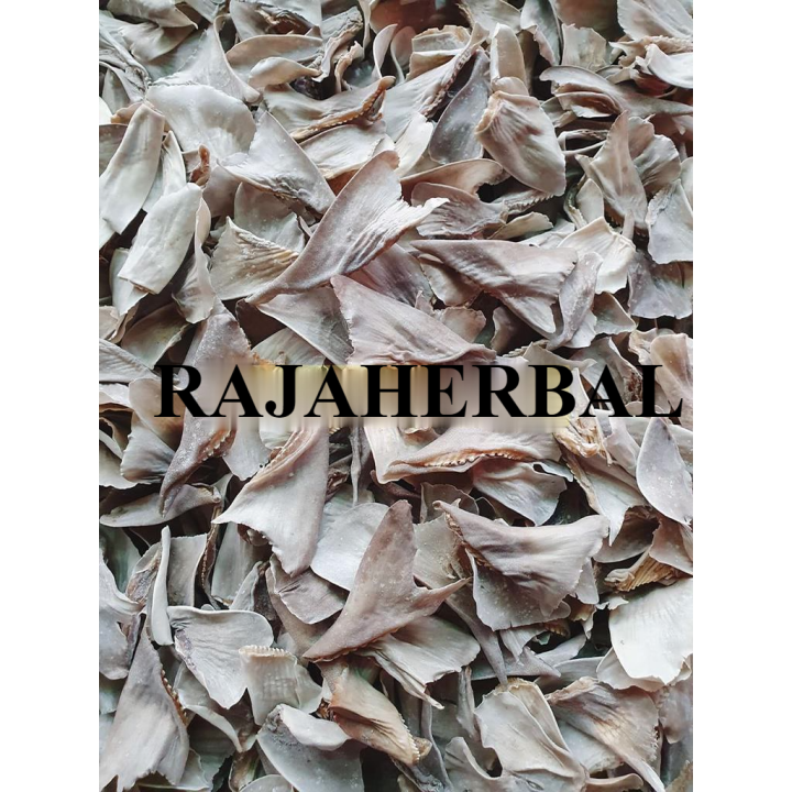 HISIT UTUH KERING 100GM KECIL BAHAN SUP SIRIP HISIT BERKUALITAS COCOK ...
