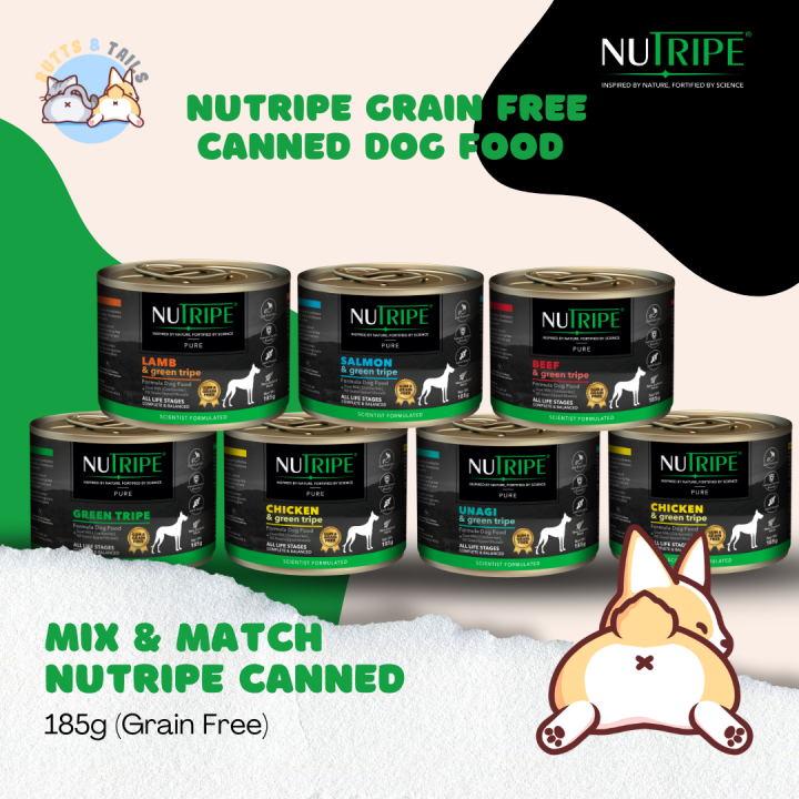 Nutripe Pure (Gum-Free) with Green Tripe 185g Canned Wet Food for Dog ...