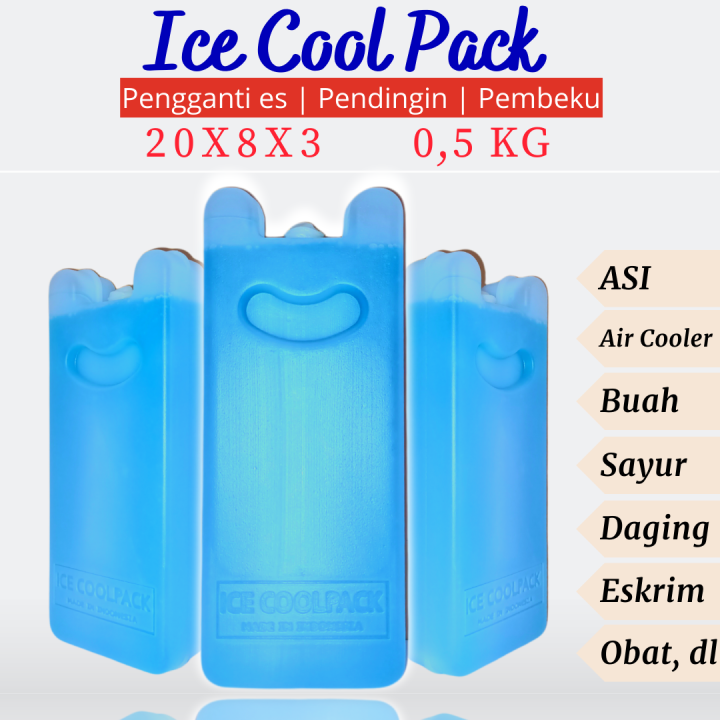ICE PACK PENGGANTI DRY ICE - ICE PACK UKURAN SEDANG 20 X 8 - ICE PACK ...