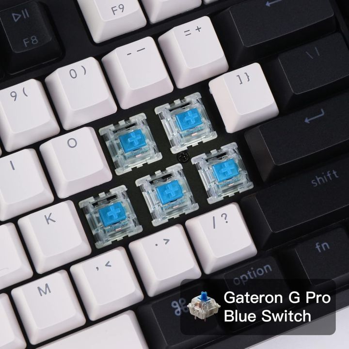 Keychron C1 Mac layout wired mechanical keyboard, gateron G Pro blue ...