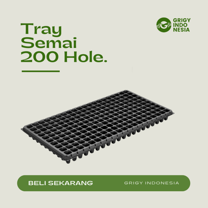 TRAY SEEDLING / SEEDLING TRAY / TRAY SEMAI / POT 200 HOLE | Lazada ...