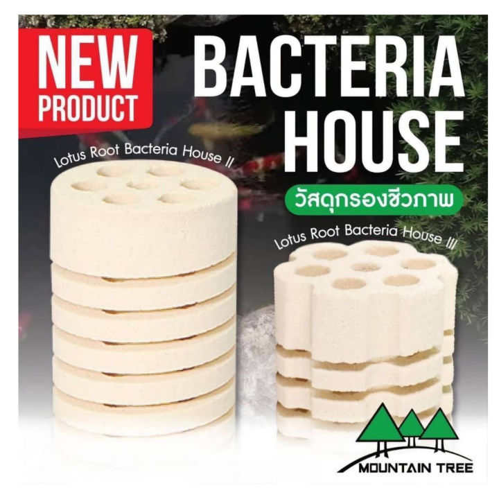 Mountain Tree Lotus Root Bacteria House วัสดุกรองชีวภาพ คุณภาพสูง ...