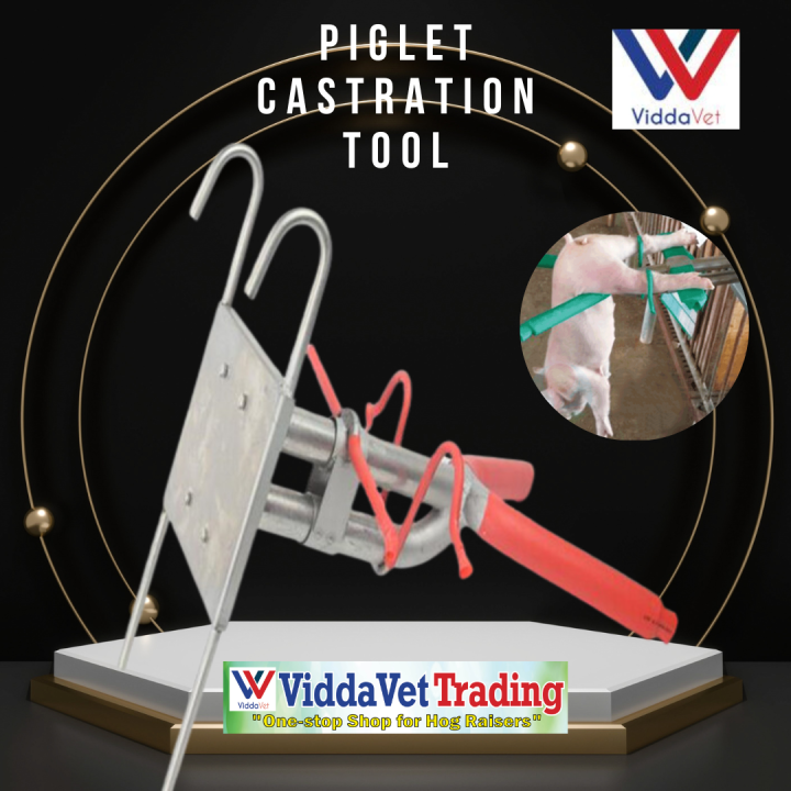 castration tools for goat castration tools for piglets piglet ...