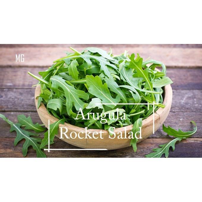 *Easy* Rocket Salad Seeds - 500 seed *Pot Friendly* Tanam Pasu, Benih ...