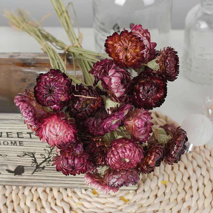 Dried Flower Chrysanthemum Flower Straw chrysanthemum chrysanthemum ...