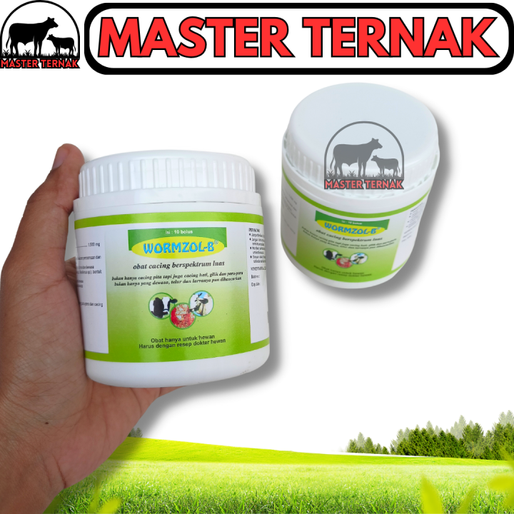 WORMZOL B 10 BOLUS POT - Obat Cacing Cacingan Sapi Kerbau Kuda Kurus ...