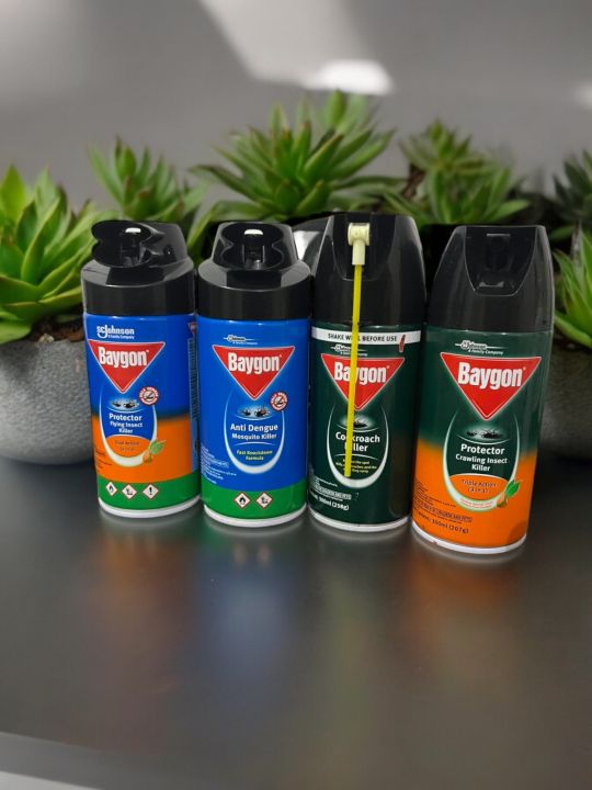 Baygon Multi Insect Killer Spray 300ml | Lazada PH