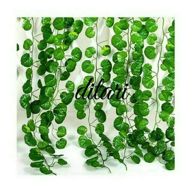 DAUN RAMBAT BUNGA PLASTIK ARTIFICIAL ARTIFISIAL DEKORASI DINDING ...