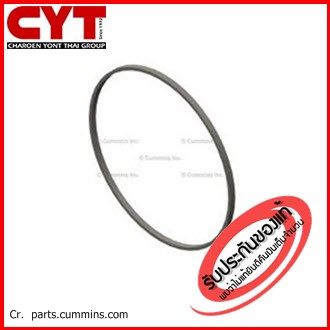 ชิมรองปลอก (020) NTA855,N14 | Liner Seal Ring 3054948 | Lazada.co.th
