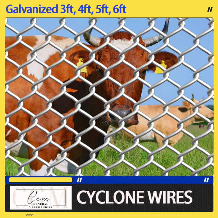 Cyclone Wires mesh Galvanized Chain Link Fence Safety Mesh for Farm ... Cyclone Wires mesh Galvanized Chain Link Fence Safety Mesh for Farm ...