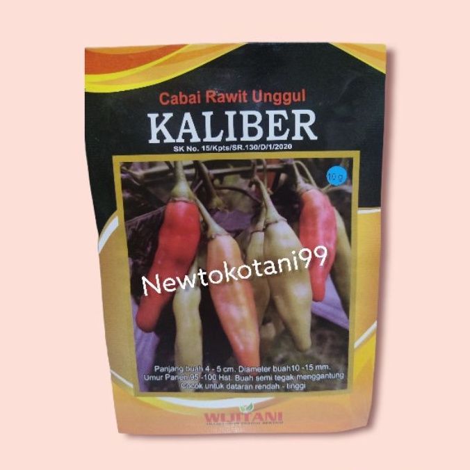 Benih cabe KALIBER 10 gram benih cabai unggul kaliber dari wiji tani ...