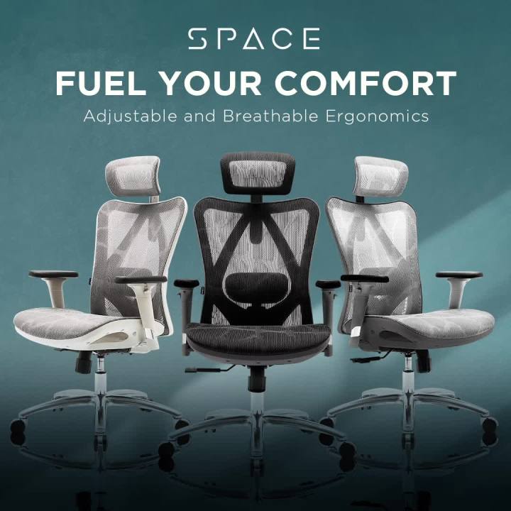 SPACE Ergonomic Chair(Office Chair, Adjustable Lumbar Chair, Mesh Chair ...