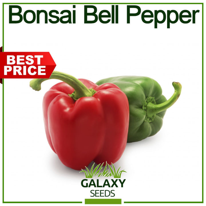 "Galaxy Seeds" Value Pack - Bonsai Bell Pepper Seeds for Planting ...