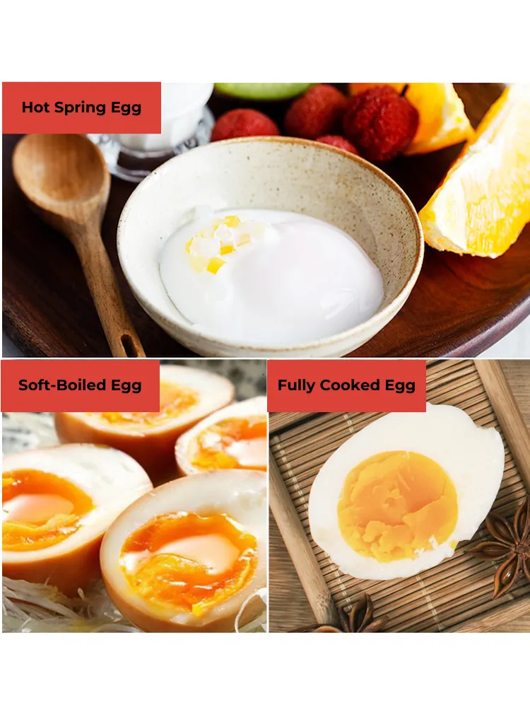 Commercial Hot Spring Egg Boiler – Stainless Steel Automatic Egg Cooker ...